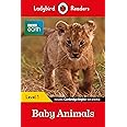 Ladybird Readers Level 1 - BBC Earth - Baby Animals (ELT Graded Reader ...