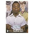 Notes of a Native Son (Penguin Modern Classics) : Baldwin, James ...