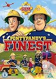 Fireman Sam: Pontypandy Gone Wild [DVD]: Amazon.co.uk: DVD & Blu-ray