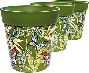 Hum Flowerpots, set of 3 green Butterfly Palm, colourful planters ...