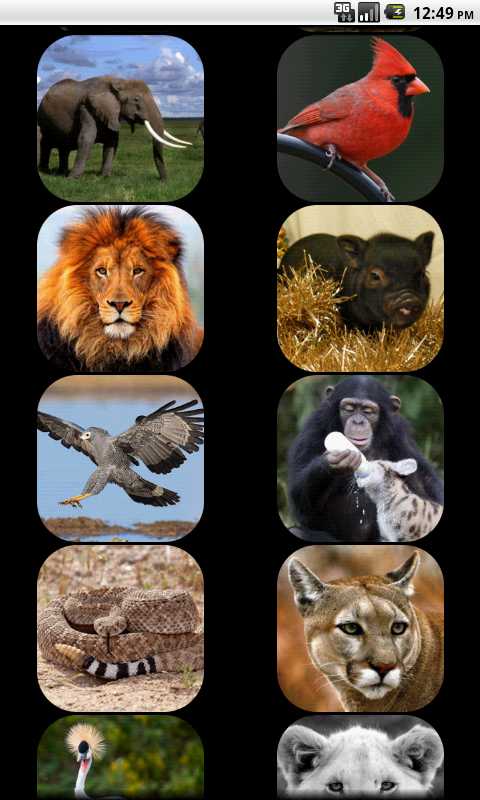 Zoo Animal Sounds: Amazon.co.uk: Appstore for Android