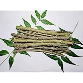 Buy BuyandCheers Natural Neem Chew Sticks/Tree Datun Twigs Organic ...