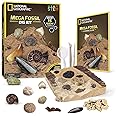 National Geographic Mega Fossil Dig Kit – Excavate 15 Real Fossils ...