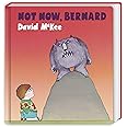 Not Now, Bernard: Board Book: Amazon.co.uk: McKee, David: 9781783445134 ...