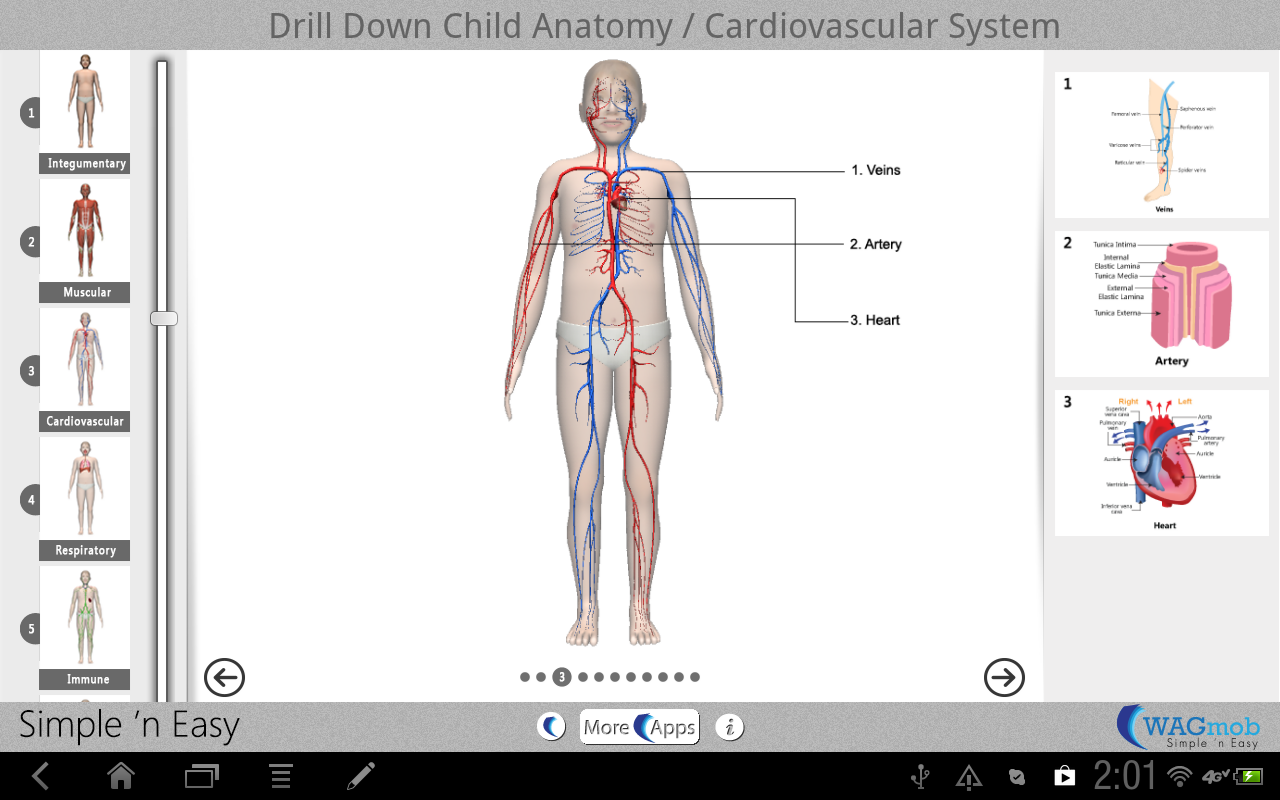 Drill Down Child Anatomy by WAGmob: Amazon.co.uk: Appstore for Android