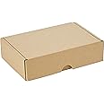 Smartbox 211107725 160 x 113 x 42 mm A6 Econ Mail Box - Brown (Pack of ...