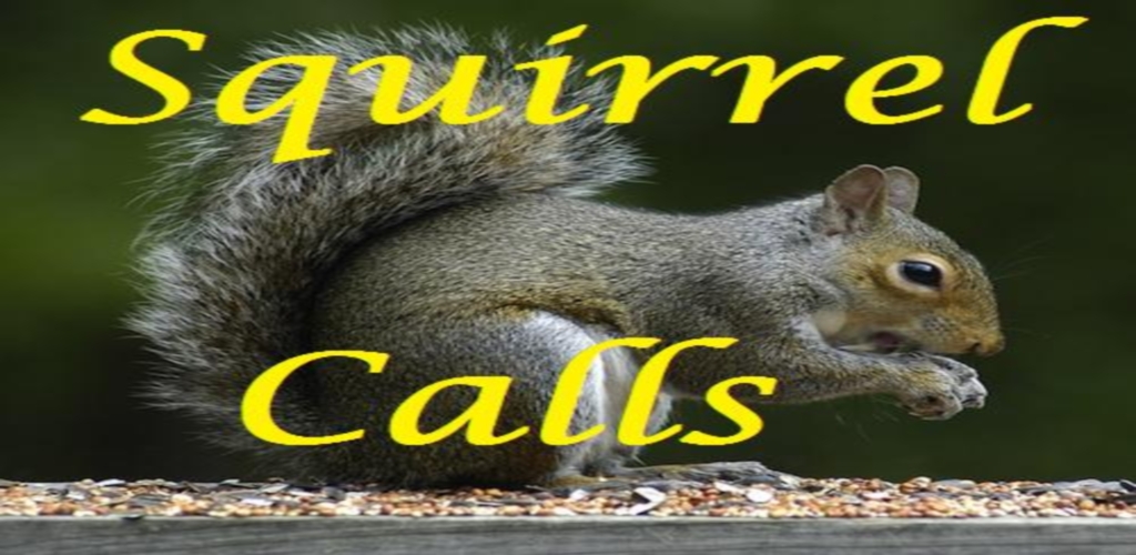 Squirrel Calls : Amazon.co.uk: Apps & Games