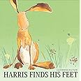 Harris Finds His Feet: Amazon.co.uk: Rayner, Catherine: 9781845065904: Books