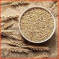 Organic Sharbati Wheat Pure & Sortex Clean Sharbati Gehu MP Sharbati ...