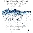 Low Intensity Cognitive Behaviour Therapy: A Practitioner's Guide ...