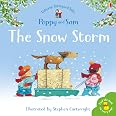 The Snow Storm (Farmyard Tales): Amazon.co.uk: Amery, Heather ...