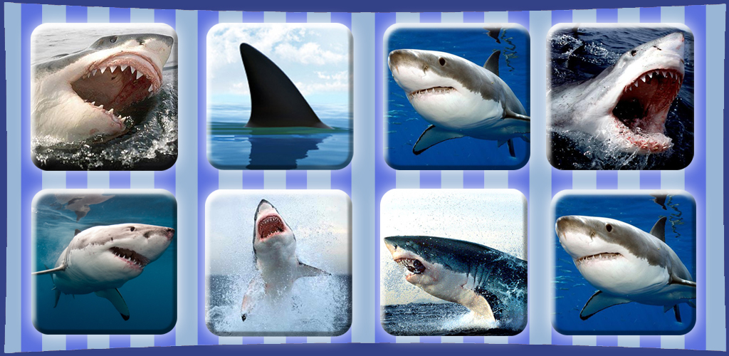 Shark Games: Amazon.co.uk: Appstore for Android