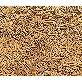 Sampada Foods Agritech | Pusa Basmati Paddy Seeds 1121 | Dhan, Rice ...