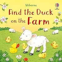 Find the Duck (Usborne Find It Board Books) (Find-its): Amazon.co.uk ...