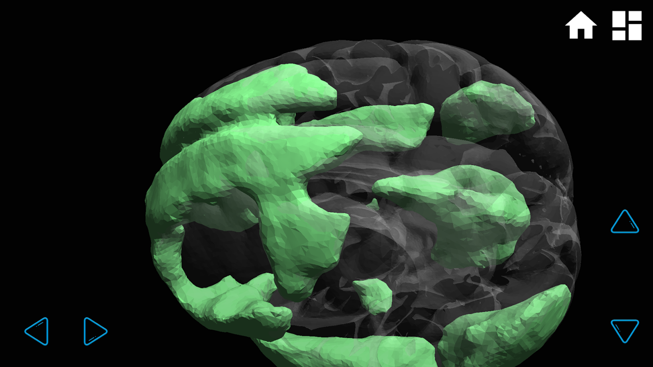 iBrain: Amazon.co.uk: Appstore for Android