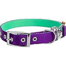 KeepSafe Break-Away Safety Collar