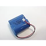 Batteria Litio 6V 1400mAh per TELEPASS RICARICABILE: Amazon.it: Elettronica