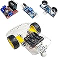 DIYables 2WD RC Robot Car Kit for Arduino, ESP32, ESP8266, Raspberry Pi, Including L298N Motor ...