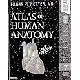 Atlas of Human Anatomy (Netter Basic Science) : Netter MD, Frank H ...