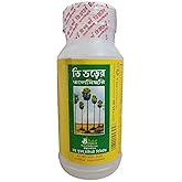 D. Bhar's Natural Tal Fruit Mishri Palm Candy 1 Kg : Amazon.in: Grocery ...
