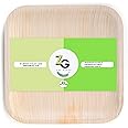 Zoe Goods 25 Disposable Palm Leaf Plates 10"(25cm) Large Square Eco ...
