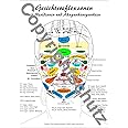 Gesichtsreflexzonen: Lehrkarte A4 (Lehrtafeln / Übersichtskarten) : Tanja Aeckersberg: Amazon.de ...