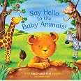 Say Hello to the Baby Animals!: A soft to touch book: Amazon.co.uk: Ian ...