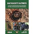 Bat Roosts in Trees: A Guide to Identification and Assessment for Tree ...