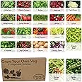 Bumper Vegetable Seeds Pack Choice of 21 Different Varieties with Over ...