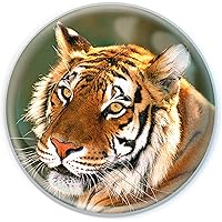 Deluxebase Magnidome - White Tiger from White Tiger Crystal Glass ...