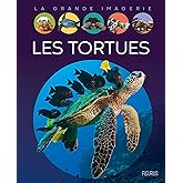 Amazon.fr - Le Monde des Tortues: Livre documentaire animalier sur les ...