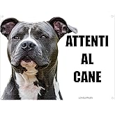 Cartello attenti al cane, personalizzato con la foto del tuo cane ...
