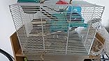 Rosewood PICO Hamster Home, Extra Large, Translucent Teal: Amazon.co.uk ...