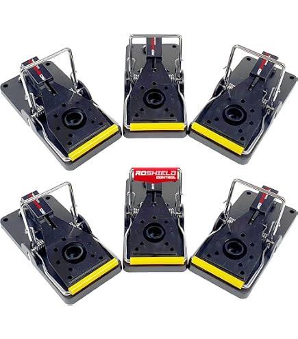 E 6 Pack Snap Mouse Trap