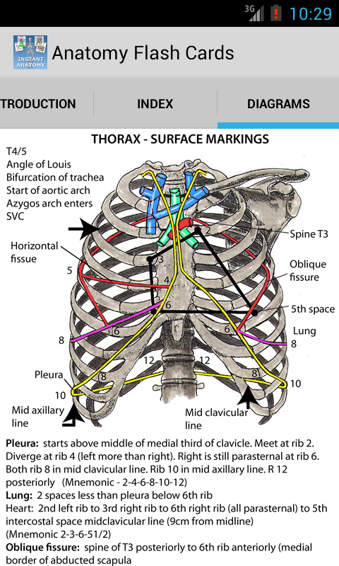 Anatomy Flash Cards: Amazon.co.uk: Appstore for Android
