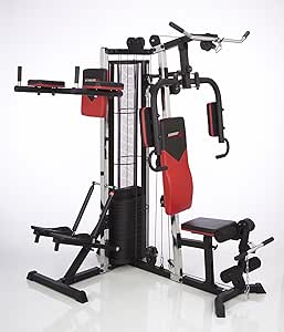 Schmidt Sportsworld multigym Multi Station Chrome avec Stepper: Amazon ...