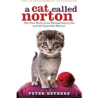 A Cat Called Norton: Amazon.co.uk: Gethers, Peter: 9780091933296: Books