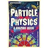 Introducing Relativity: A Graphic Guide (Graphic Guides): Amazon.co.uk ...