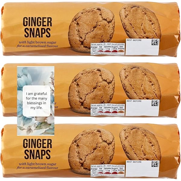 Chocolate Digestives McVitie's Ginger Nut Biscuits 250g Perfect ...