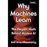 Buy Why Machines Learn: The Elegant Maths Behind Modern AI Book Online ...