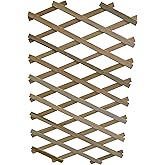 Apollo Expanding Wooden Trellis with Robust Plant Support : Amazon.co ...