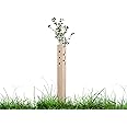 Biodegradable Tree Guards, Protect Your Trees and The Environment, Eco ...