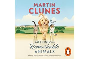Amazon.co.uk Hot New Releases: The bestselling new and future releases ...