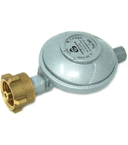 The Bfg BFG Propane Butane Gas Hose Pipe, 80cm, 2 X 1/4" Female Threads ...