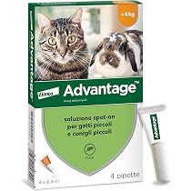 Pipetas Antiparasitarias Perros Advantage 40 Gatto O Coniglio Meno Di 4 ...