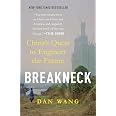 Breakneck: China's Quest to Engineer the Future : Wang, Dan: Amazon.in ...