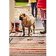 HUG RUG 65cm x 150cm STRIPE 32 THE Machine Washable, Dirt Trapper Door ...