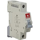 Buy Havells DHMGCSPF006 PVC Plastic 6A MCB SP C Curve (White) Online at Low Prices in India ...