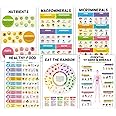 6 Pcs Healthy Food Chart 11"X17" Vitamin and Mineral Nutrition Poster ...