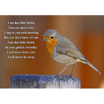 LIFE INSPIRATIONAL/MOTIVATIONAL ROBIN LOVED ONES FROM HEAVEN WATCHING ...